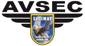 AVSEC – Otro sitio realizado por MrBogart